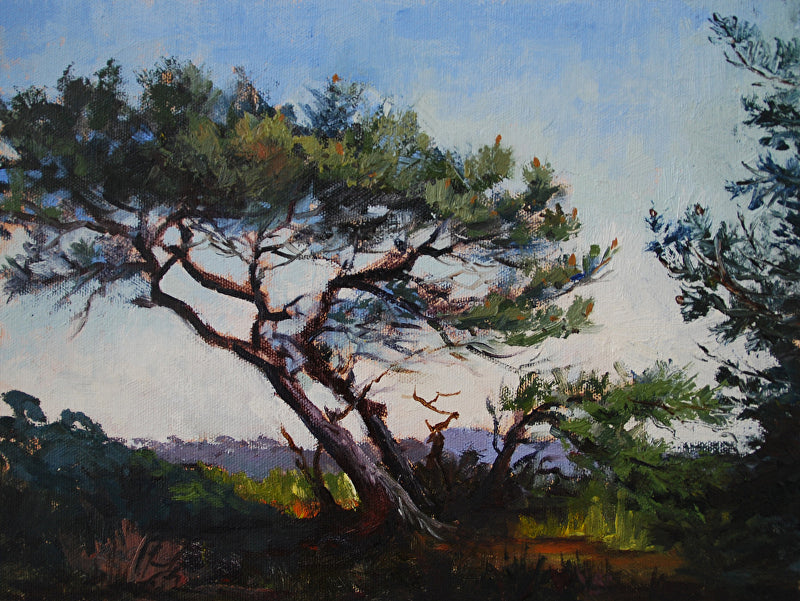 Landscapes – Liz Abeyta Art
