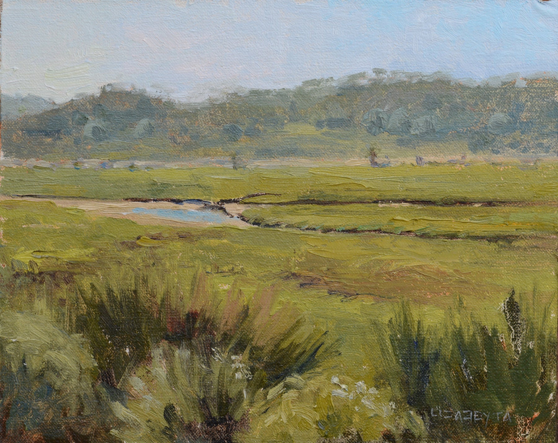 Torrey Pines Estuary – Liz Abeyta Art